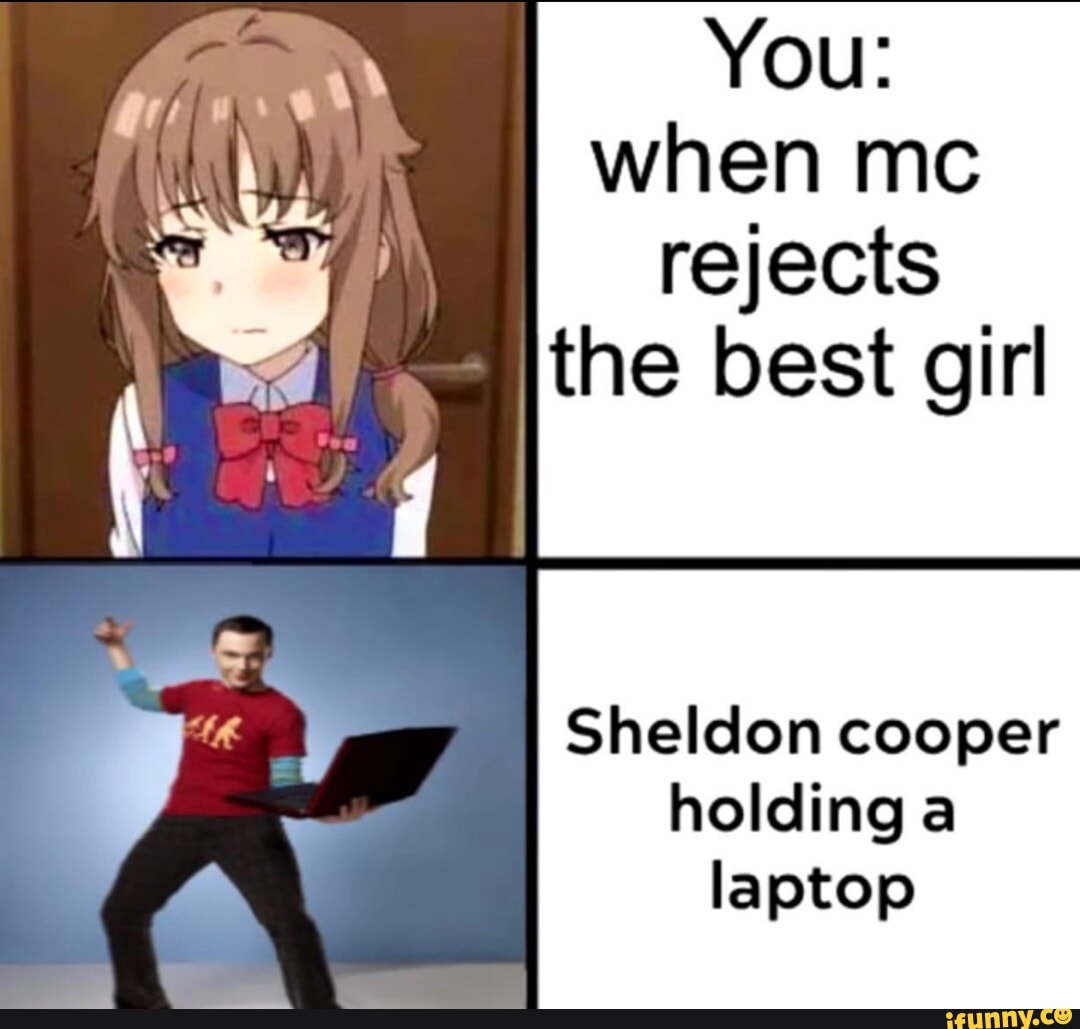 You: when mc rejects the best girl Sheldon cooper holding a laptop - iFunny