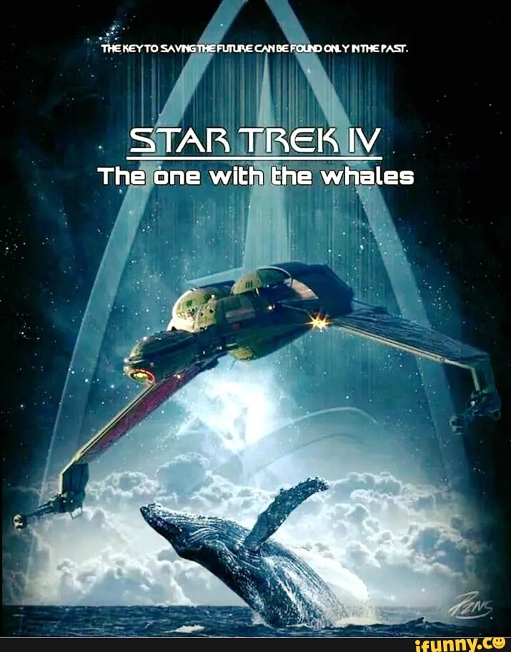 Rey memes. Best Collection of funny Rey pictures on iFunny