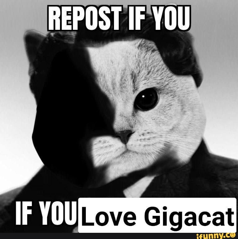 Gigacat memes. Best Collection of funny Gigacat pictures on iFunny