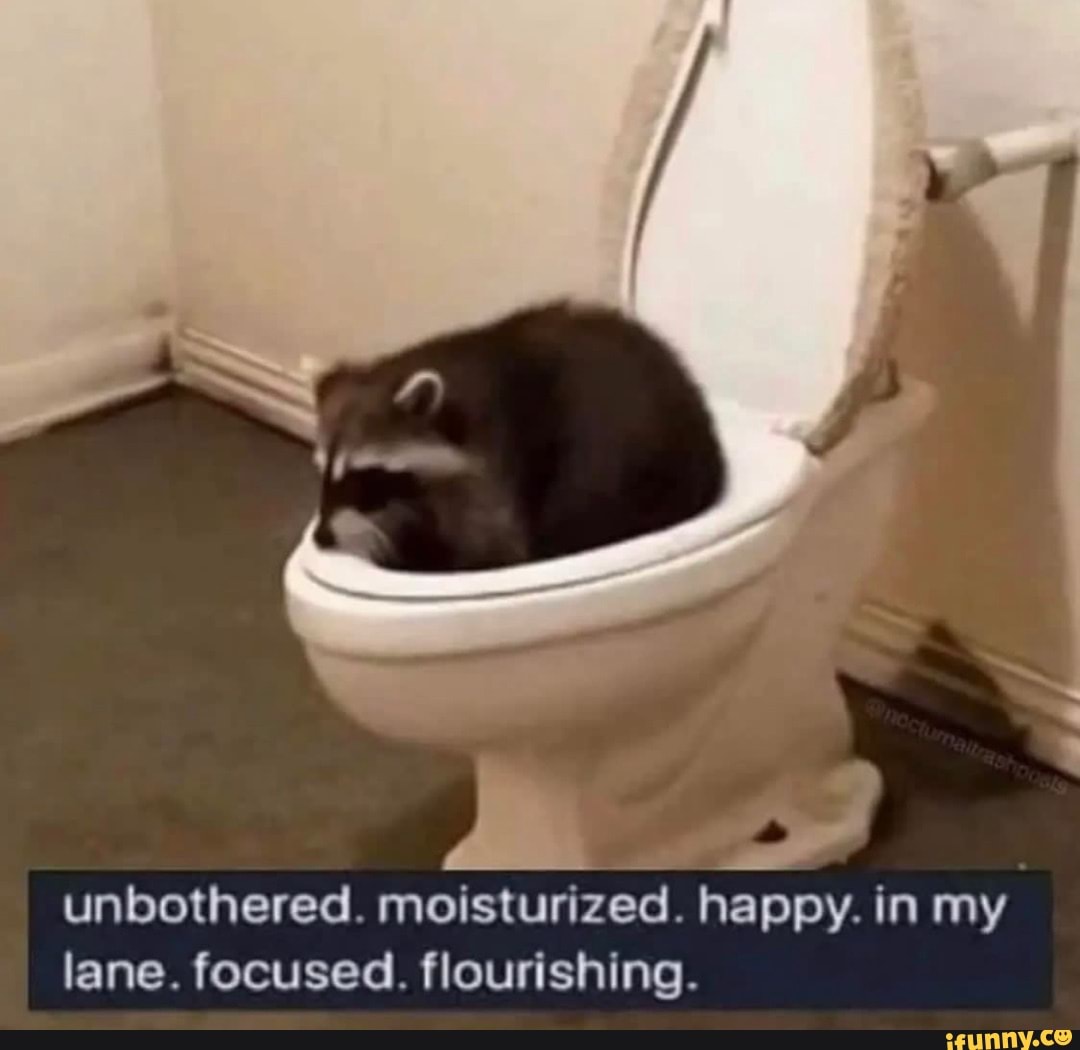 Unbothered. moisturized. happy. in my lane. focused. flourishing. - iFunny