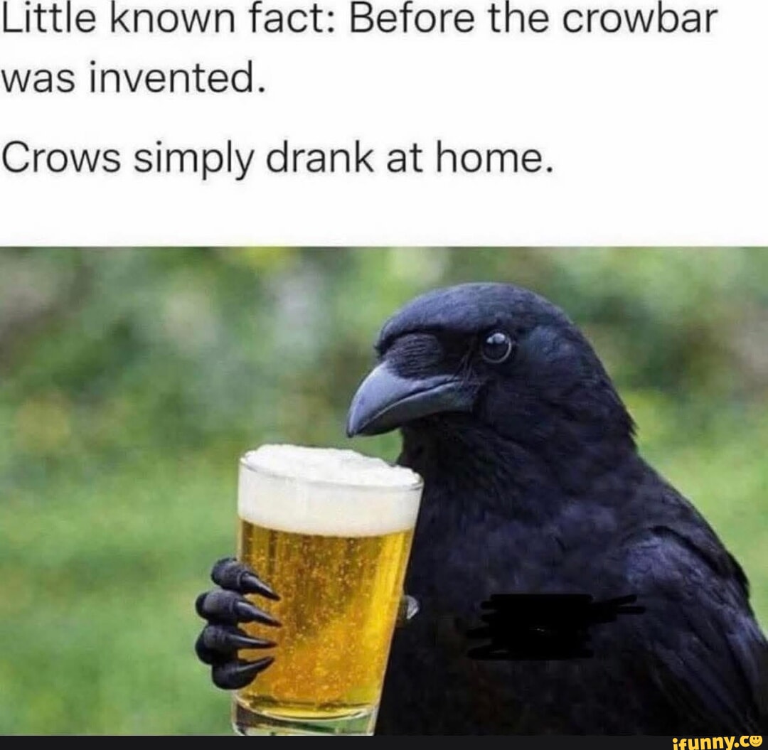 Little Known fact: Before the crowbar was invented. Crows simply drank ...