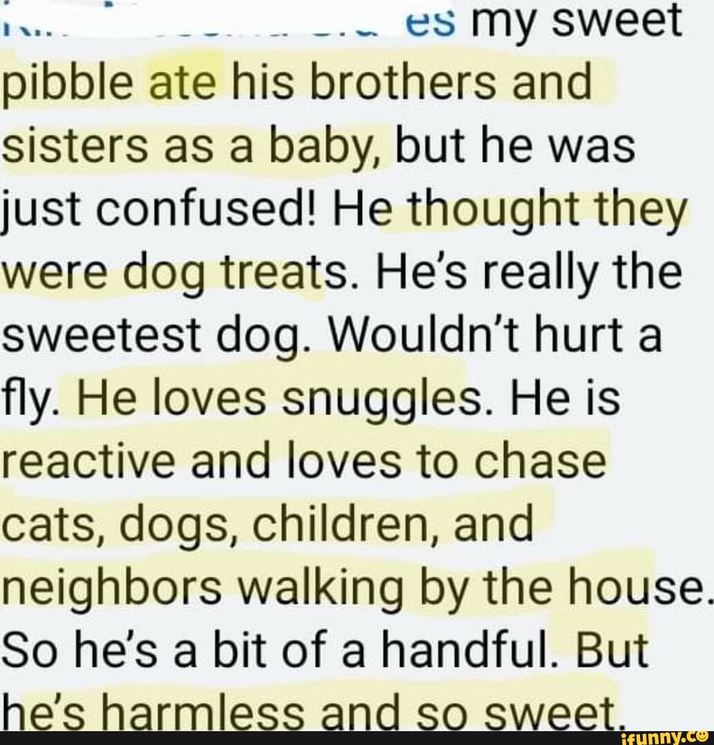 Pibble memes. Best Collection of funny Pibble pictures on iFunny