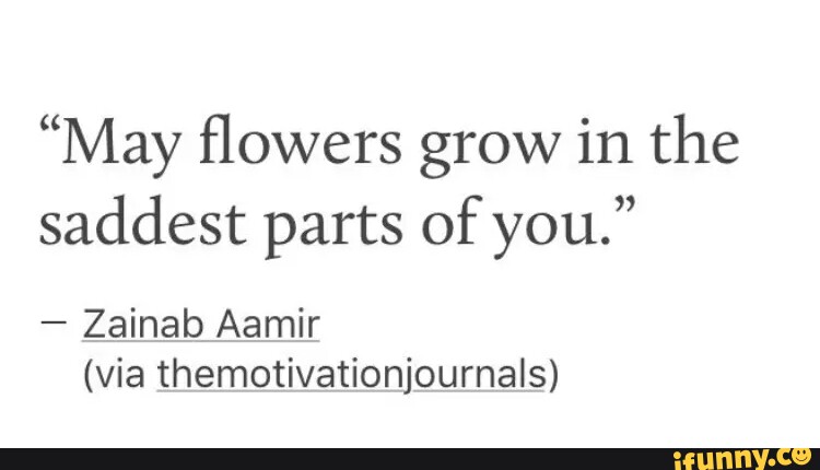 "May flowers grow in the saddest parts of you." Zainab Aamir (via ...