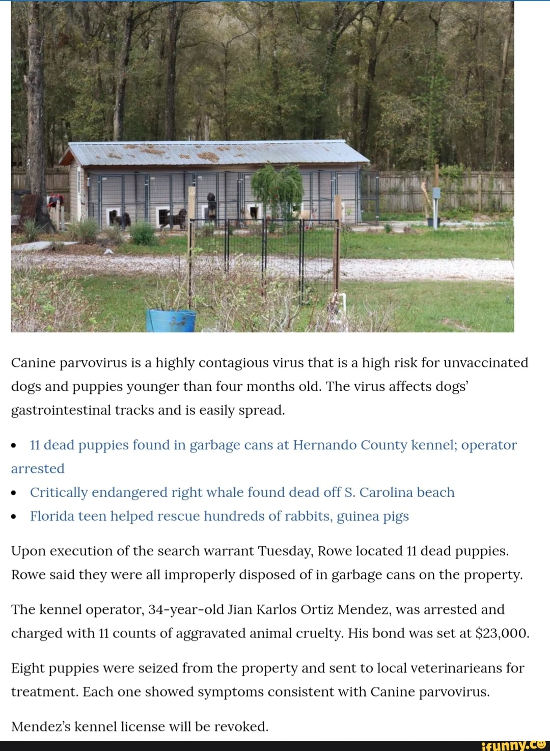 Parvovirus memes. Best Collection of funny Parvovirus pictures on iFunny