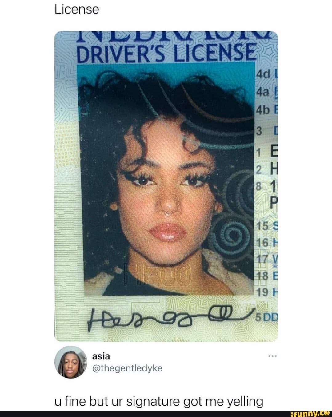 License memes. Best Collection of funny License pictures on iFunny