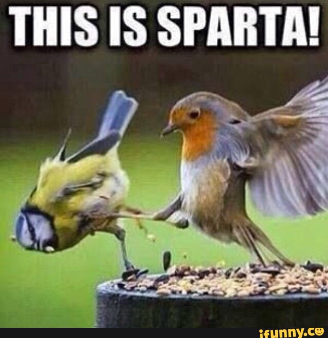 Sparta memes. Best Collection of funny Sparta pictures on iFunny