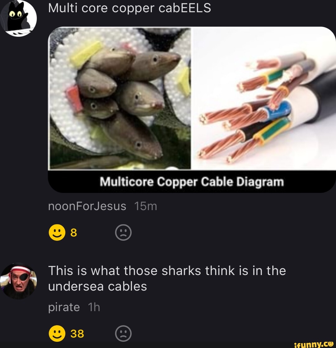 Fiberoptic memes. Best Collection of funny Fiberoptic pictures on iFunny