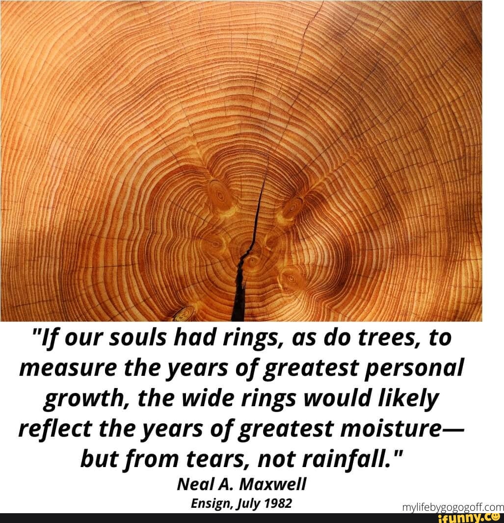 Moisture memes. Best Collection of funny Moisture pictures on iFunny