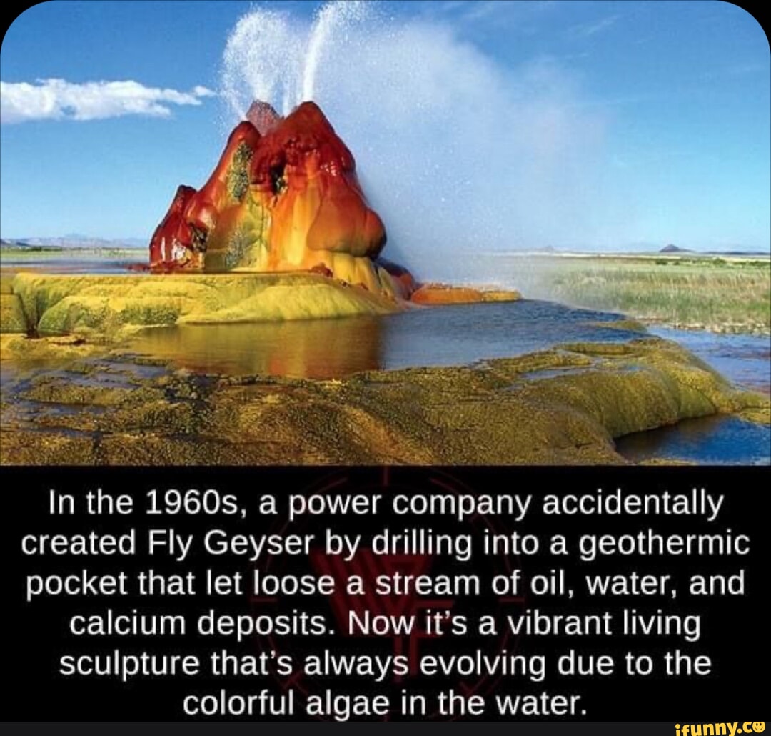 In the 1960s, a power company accidentally created Fly Geyser by ...
