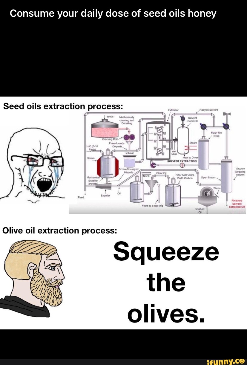 Consume your daily dose of seed oils honey Seed oils extraction process ...