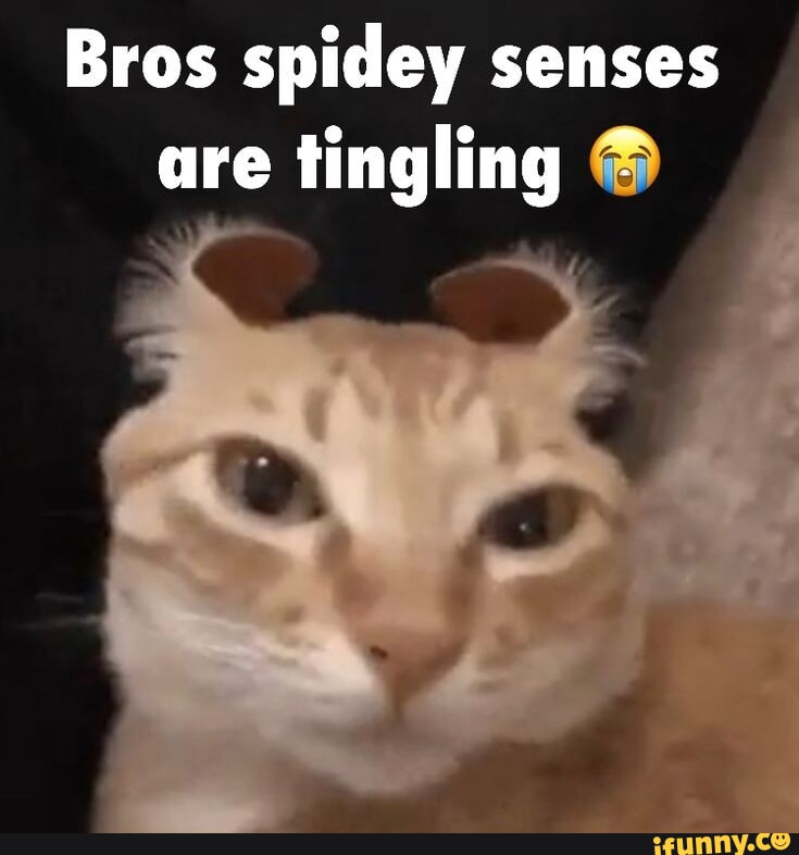 Tingling memes. Best Collection of funny Tingling pictures on iFunny