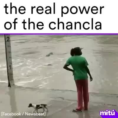 The real power of the chancla - )