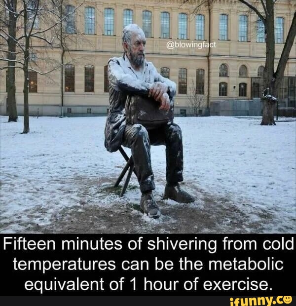 Shivering memes. Best Collection of funny Shivering pictures on iFunny