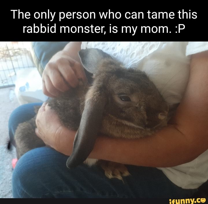 Rabbid memes. Best Collection of funny Rabbid pictures on iFunny