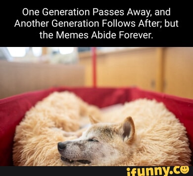 One Generation Passes Away, and Another Generation Follows After; but ...