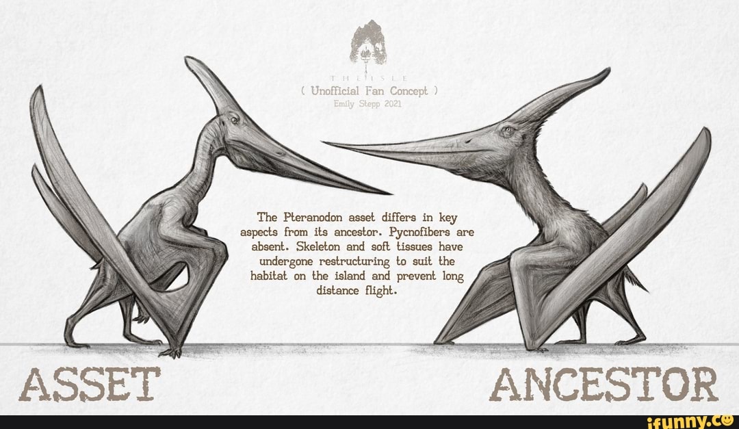 Pycnofibers memes. Best Collection of funny Pycnofibers pictures on iFunny