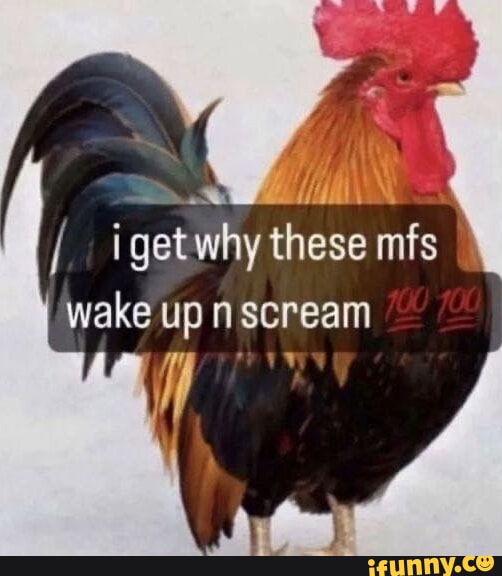 Mfs memes. Best Collection of funny Mfs pictures on iFunny