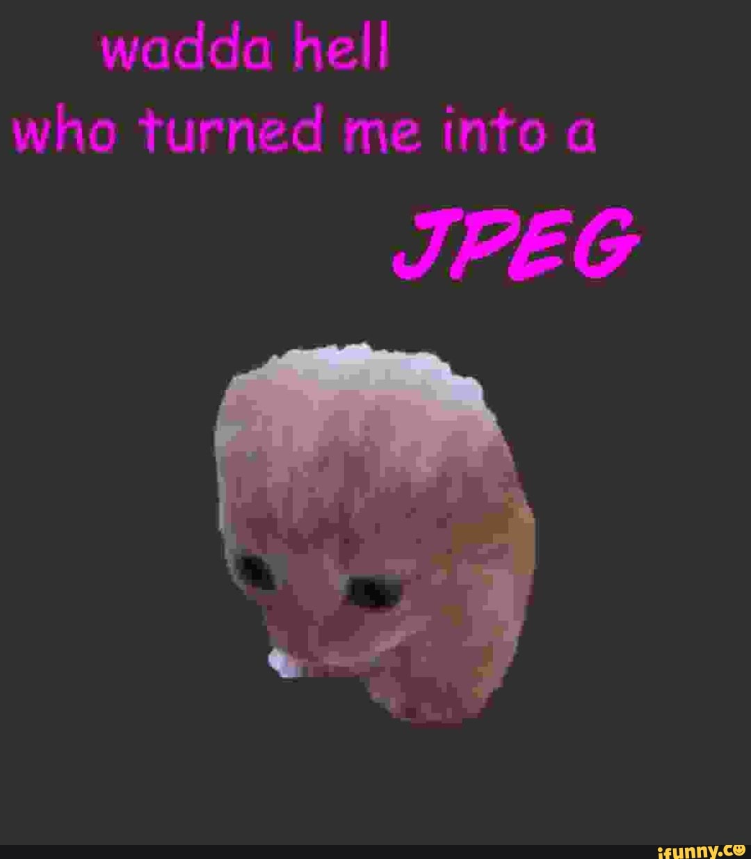Wadda hell who turned me into a - iFunny
