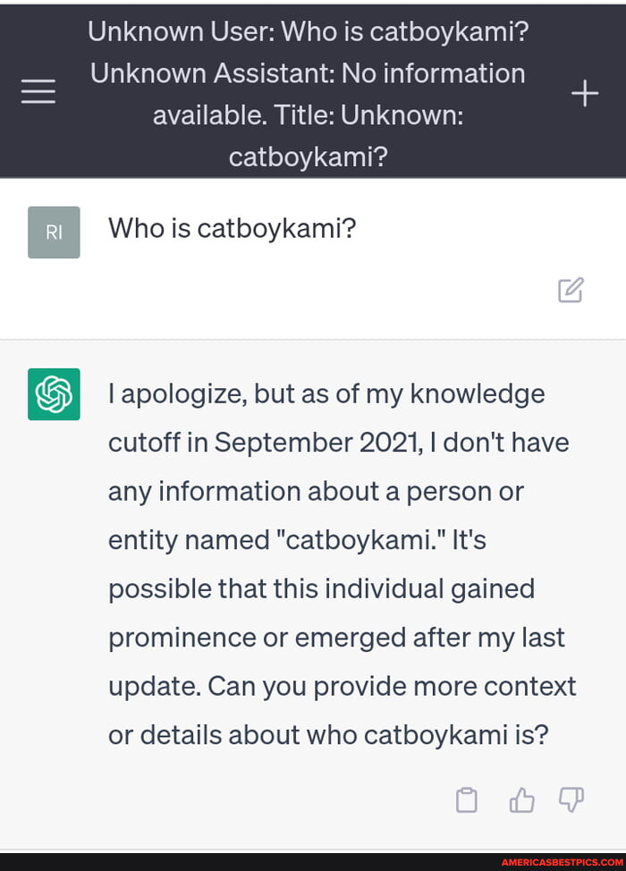 Unknown User: Who is catboykami? - Unknown Assistant: No information ...