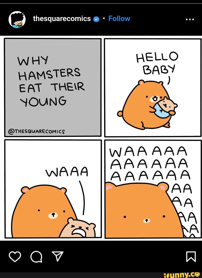 ) thesquarecomics Follow WHY HAMSTERS EAT THEIR YOUNG @THESQUARECOMICS ...