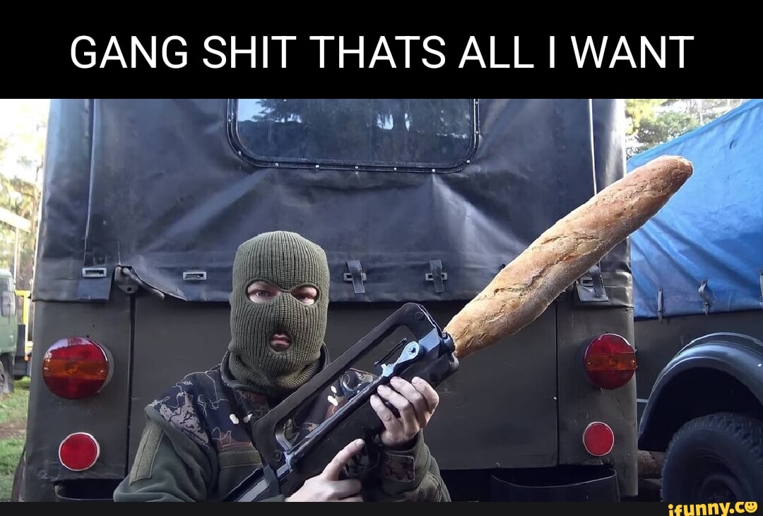 GANG SHIT THATS ALL I WANT - iFunny
