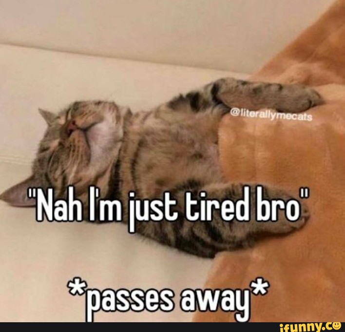 Video memes d3uU3caaA by Barricaded - iFunny