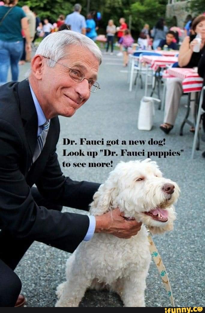 Dr. Fauci got a new dog! Look up "Dr. Fauci puppies" to see more! - iFunny