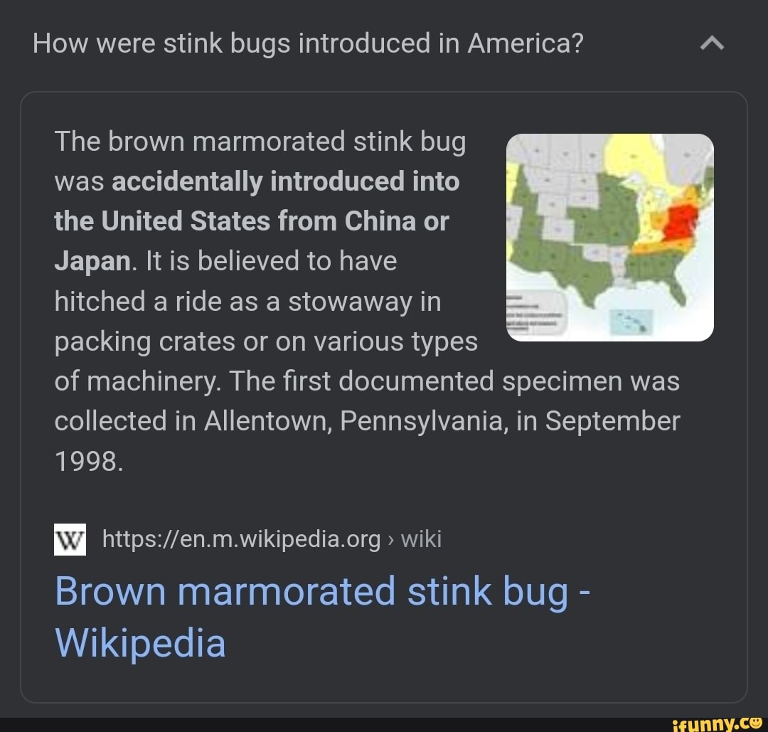 How were stink bugs introduced in America? The brown marmorated stink ...