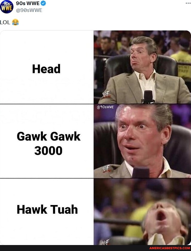 WWE @90sWWE Head Gawk Gawk 3000 Hawk Tuah - America’s best pics and videos