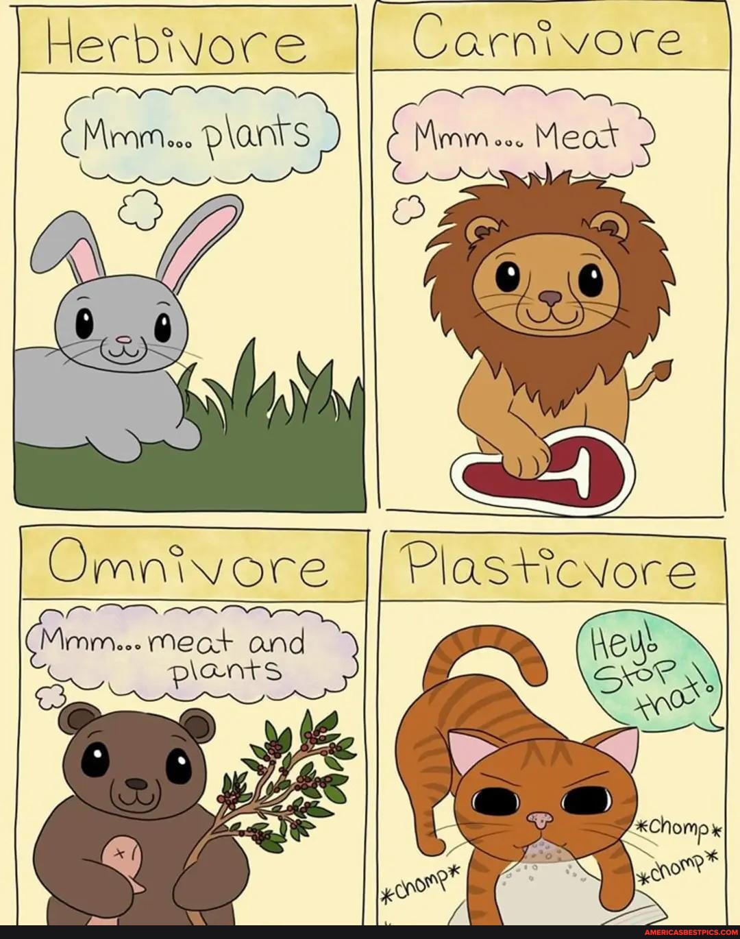 I Herbivore plants) Carnivore Omnivore Plastic meat Vore and - America ...