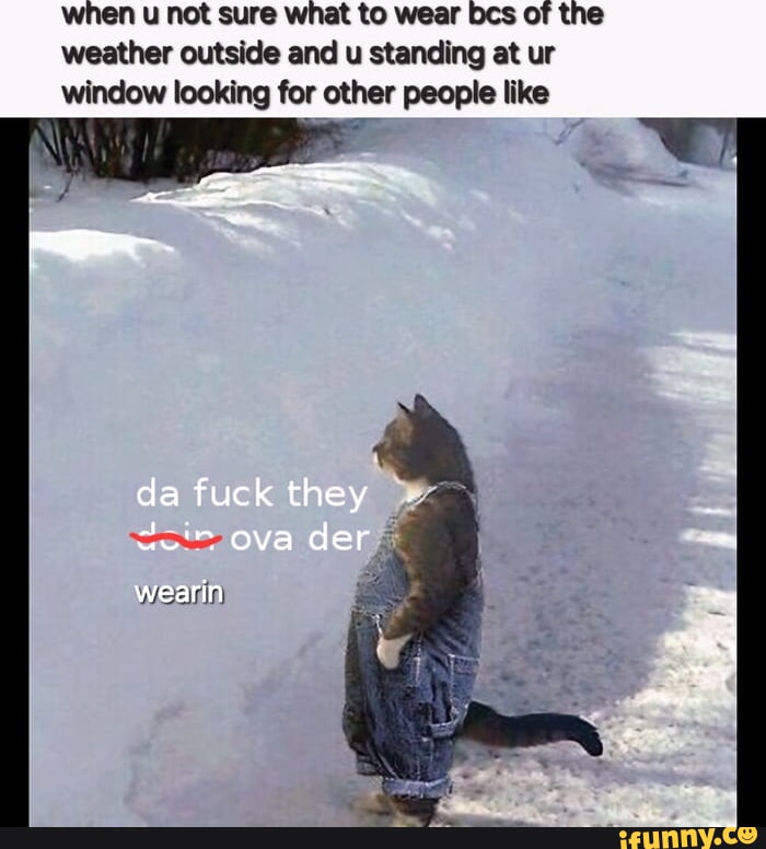 Ova memes. Best Collection of funny Ova pictures on iFunny