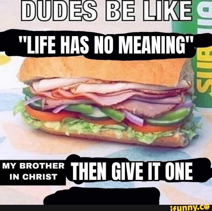 dudes-be-like-life-has-no-meaning-my-in-brother-christ-then-give-it