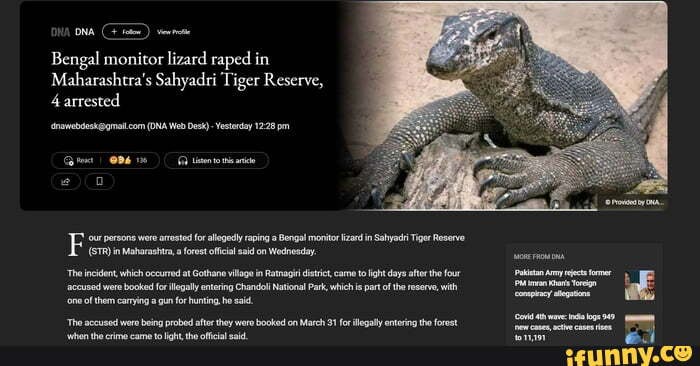 DNA Bengal monitor lizard raped in Maharashtra's Sahyadri Tiger Reserve ...