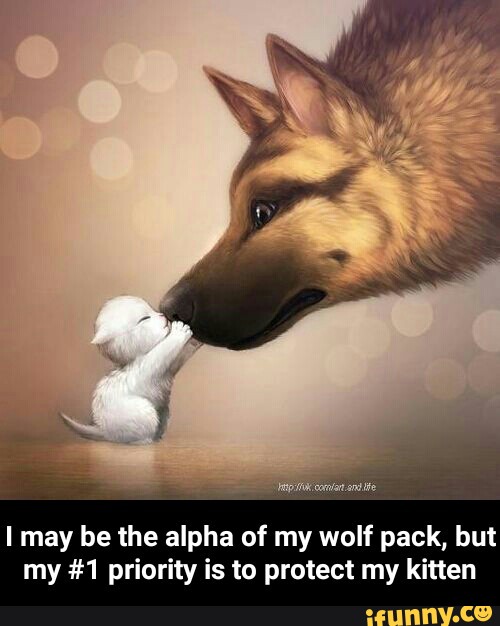 Therians memes. Best Collection of funny Therians pictures on iFunny