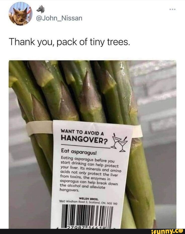 Thank you, pack of tiny trees. WANT To Avoip \g HANGOVER? Eat hangovers ...