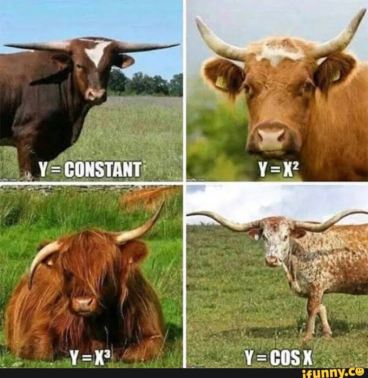 Trigonometry memes. Best Collection of funny Trigonometry pictures on ...