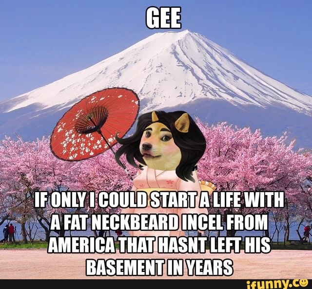 A : IF ONLY COULD START A LIFE WITH A FAT NECKBEARD INCEL FROM AMERICA ...