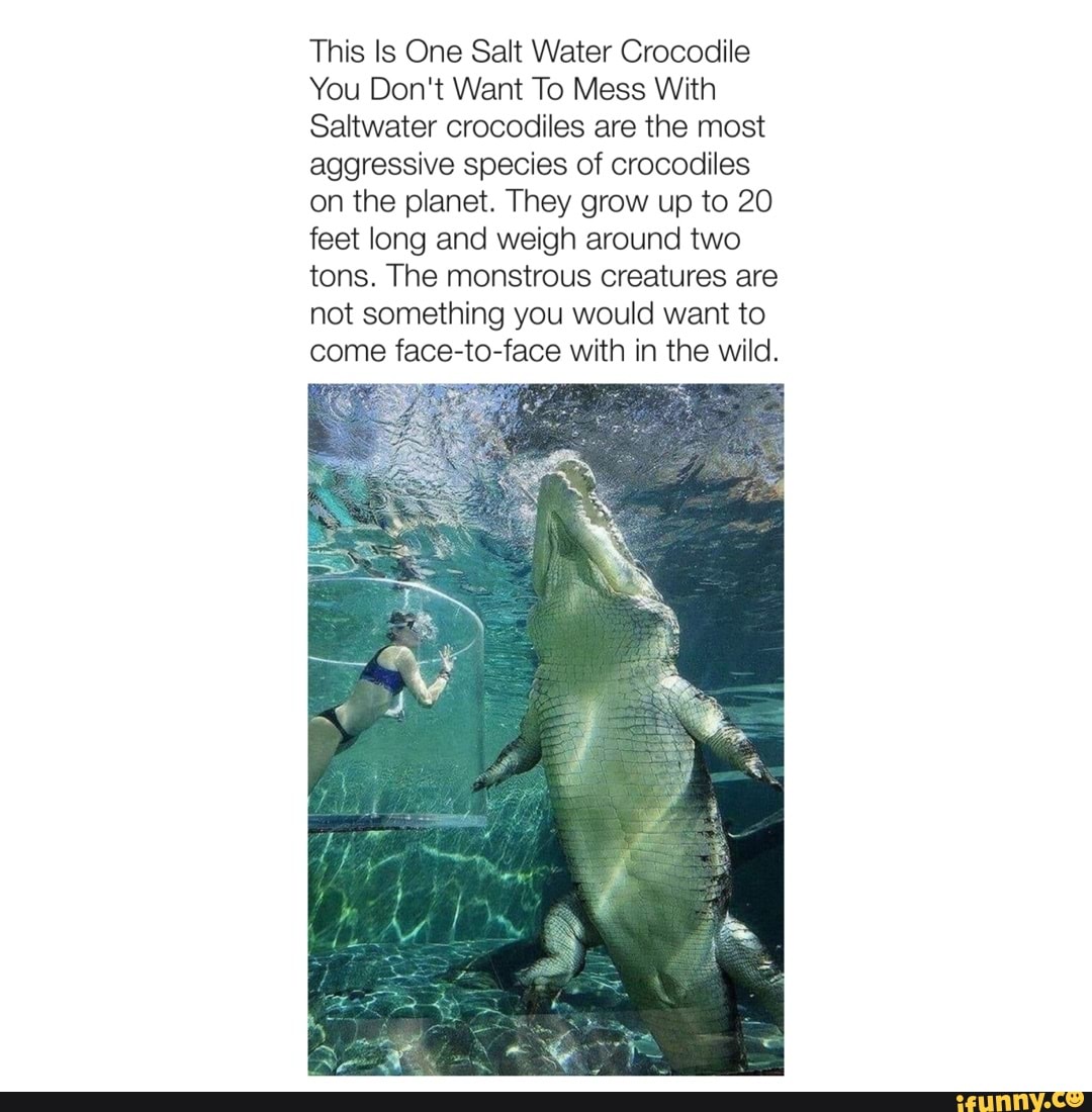 Salt memes. Best Collection of funny Salt pictures on iFunny