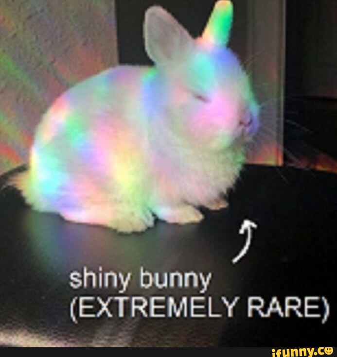 Shiny bunny (EXTREMELY RARE) - iFunny