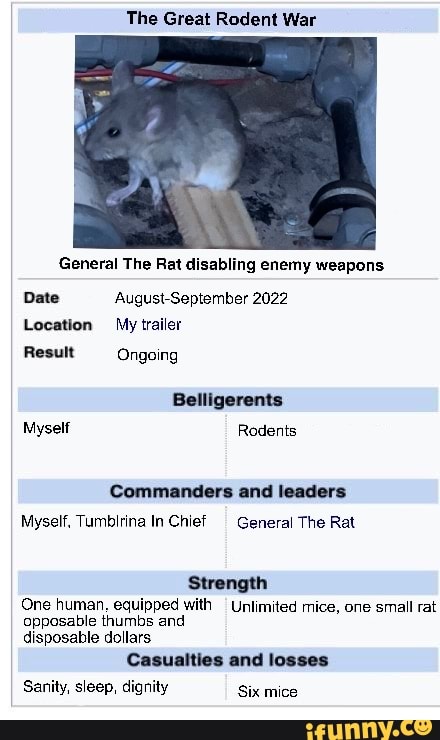 The Great Rodent War General The Rat disabling enemy weapons Date ...