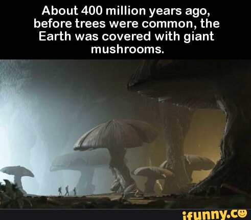 About 400 million years ago, before trees were common, the Earth was ...
