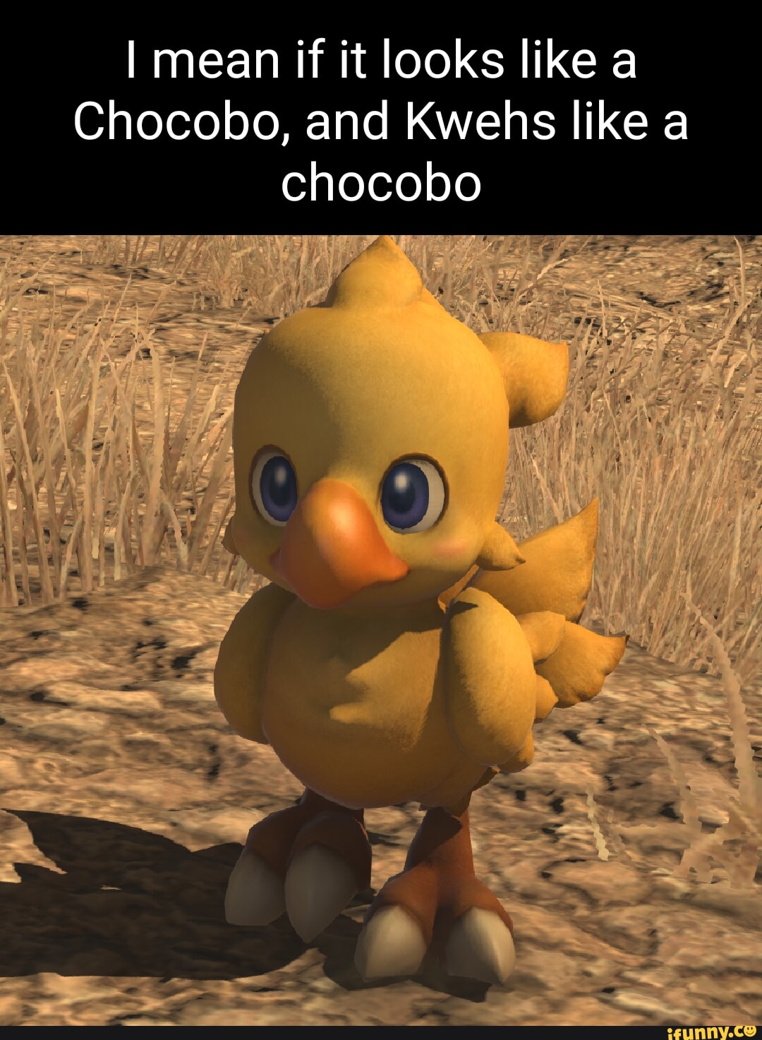 Chocobo memes. Best Collection of funny Chocobo pictures on iFunny