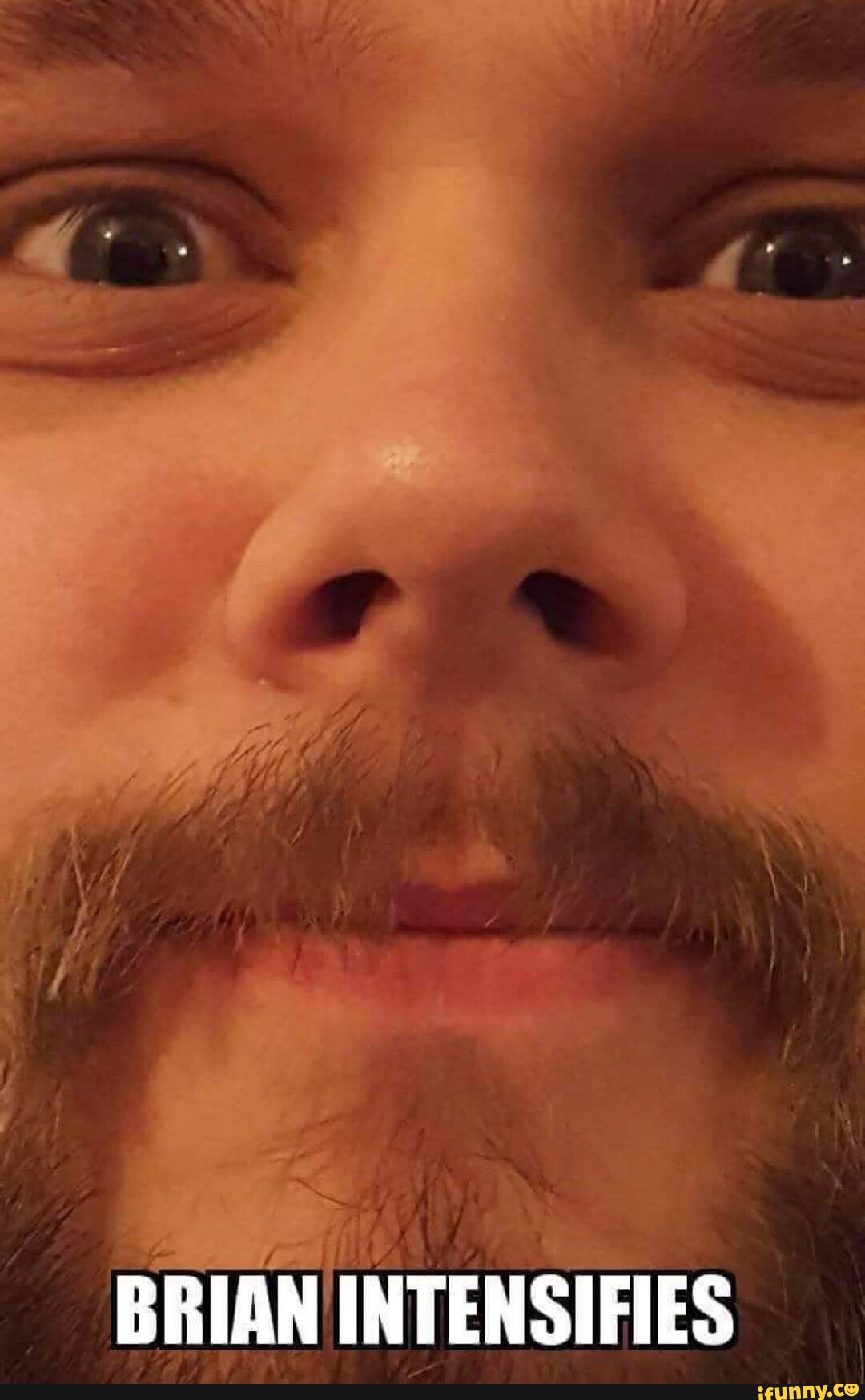 Intensifies memes. Best Collection of funny Intensifies pictures on iFunny