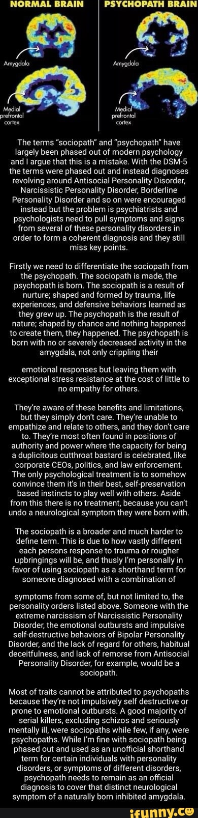 NORMAL BRAIN PSYCHOPATH BRAIN Amygdolo prefrontal prefrontal. The terms ...