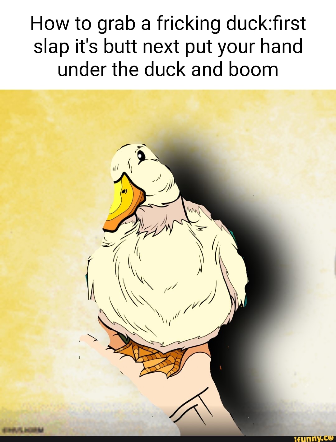 Duckfirst memes. Best Collection of funny Duckfirst pictures on iFunny