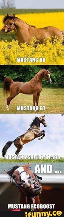 Drrrrr memes. Best Collection of funny Drrrrr pictures on iFunny