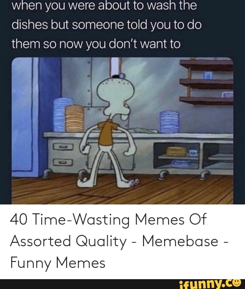 40 Time-Wasting Memes Of Assorted Quality - Memebase - Funny Memes ...