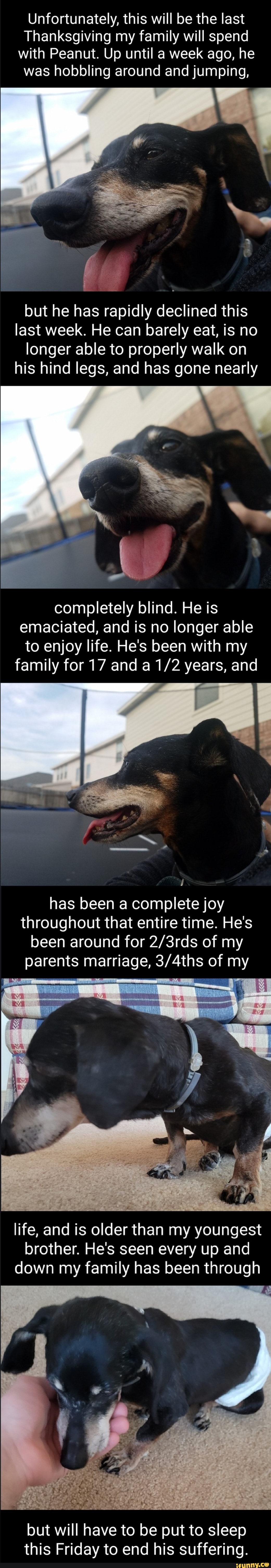 Hobbling memes. Best Collection of funny Hobbling pictures on iFunny