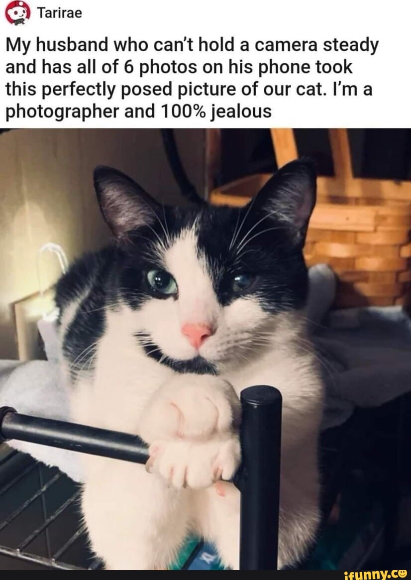 Photographer memes. Best Collection of funny Photographer pictures on ...