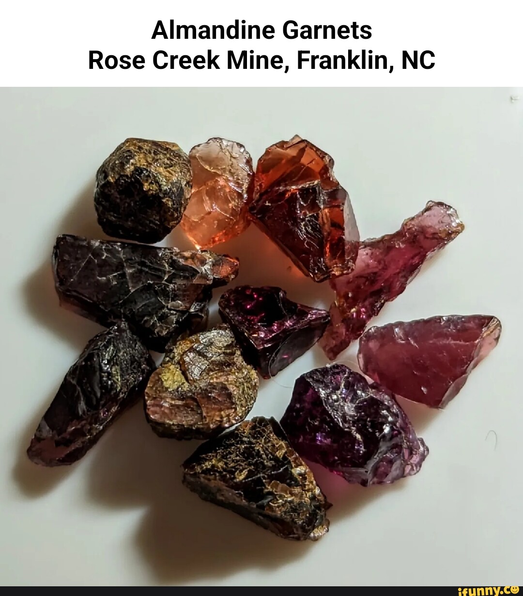 Garnet memes. Best Collection of funny Garnet pictures on iFunny